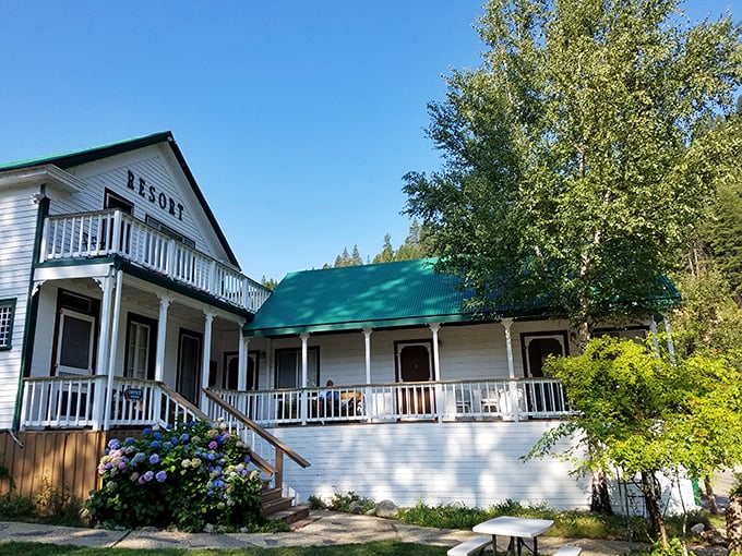 The Downieville River Inn embraces its surroundings with wrap-around porches perfect for morning coffee contemplation or evening wine sipping – mountain living at its civilized best.