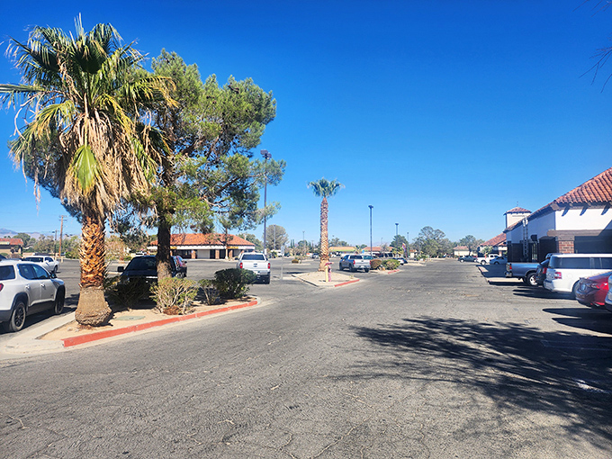Palm trees standing sentinel in parking lots that never fill—a reminder that in Ridgecrest, finding a spot is never the day's biggest challenge.