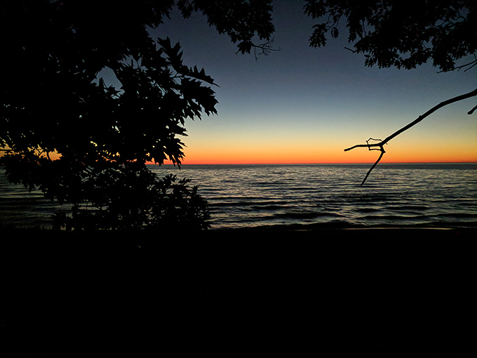 Nature's theater at closing time: silhouetted branches frame the final act of daylight's performance on Michigan's western horizon.