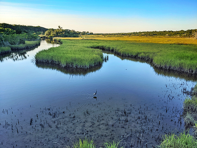 Egan's Creek Greenway showcases Florida's natural artistry—a watercolor of marsh grasses and reflective waters where even a visiting heron seems to pause in appreciation.