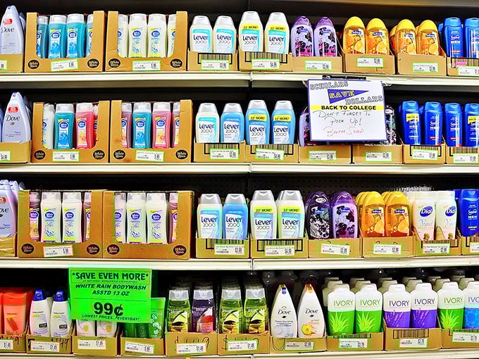 Beauty products lined up like soldiers ready for duty. At these prices, you can finally try that fancy shampoo you've been eyeing without the guilt.