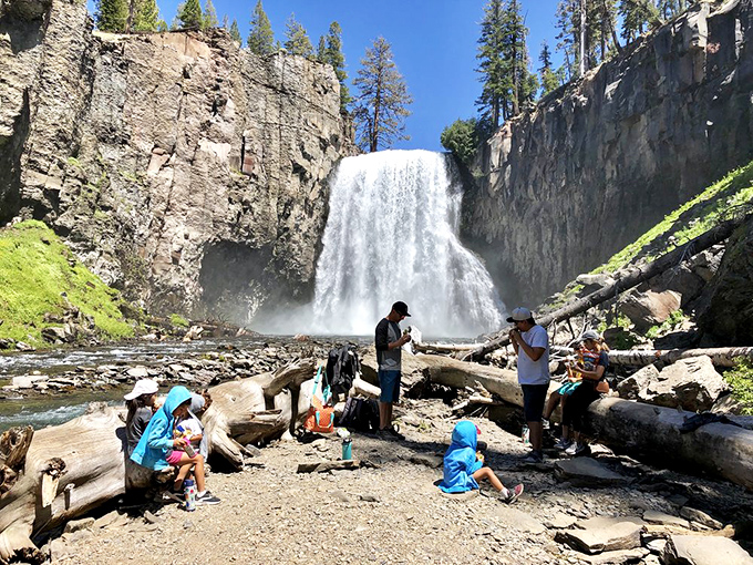 Perfect picnic spots don't just happen – they're discovered by families brave enough to hike.