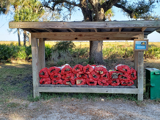 The firewood station—where city folks learn that Netflix and s'mores don't mix, but stargazing and s'mores absolutely do.