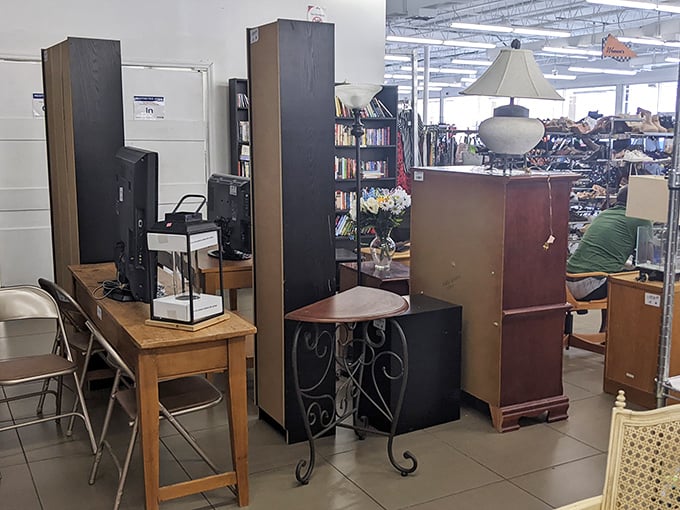 Furniture island: where dining room tables and bookshelves await their second act. That lamp has seen things in its previous life—fascinating things.