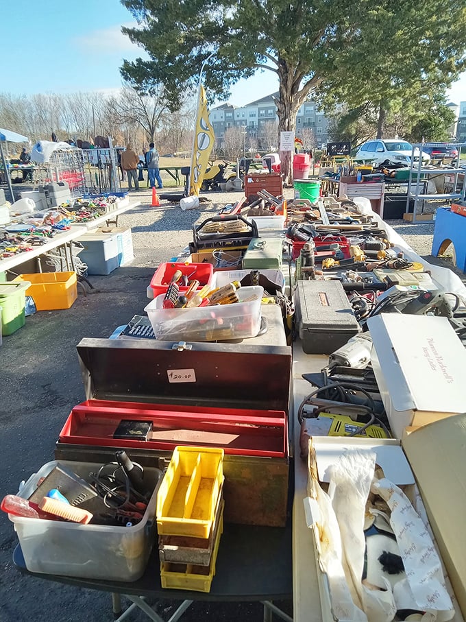 Tool paradise for the practical-minded treasure hunter – where that perfect vintage wrench or obscure gadget awaits its next project.