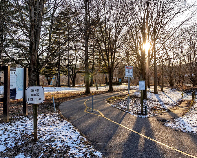 Winter sunlight filtering through bare trees on the bike trail—nature's way of saying "slow down, the scenery isn't going anywhere."