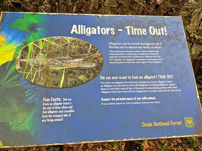 "Time Out" indeed—where else can you learn about dinosaur descendants while standing in water clearer than your retirement plans?