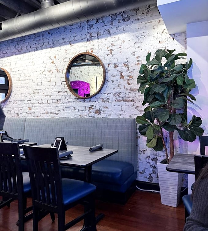 Cozy booth seating that invites you to settle in and forget about your diet plans. That fiddle-leaf fig isn't judging your food choices—it's celebrating them.
