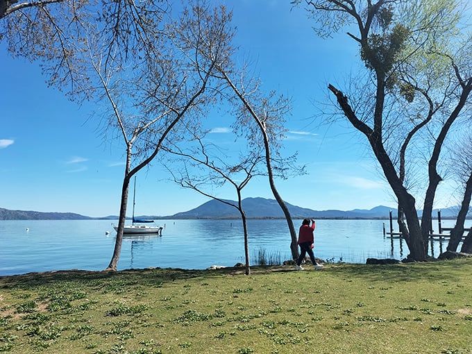 Nature's masterclass in tranquility—where trees frame the lake view like they're showing off their favorite portrait.