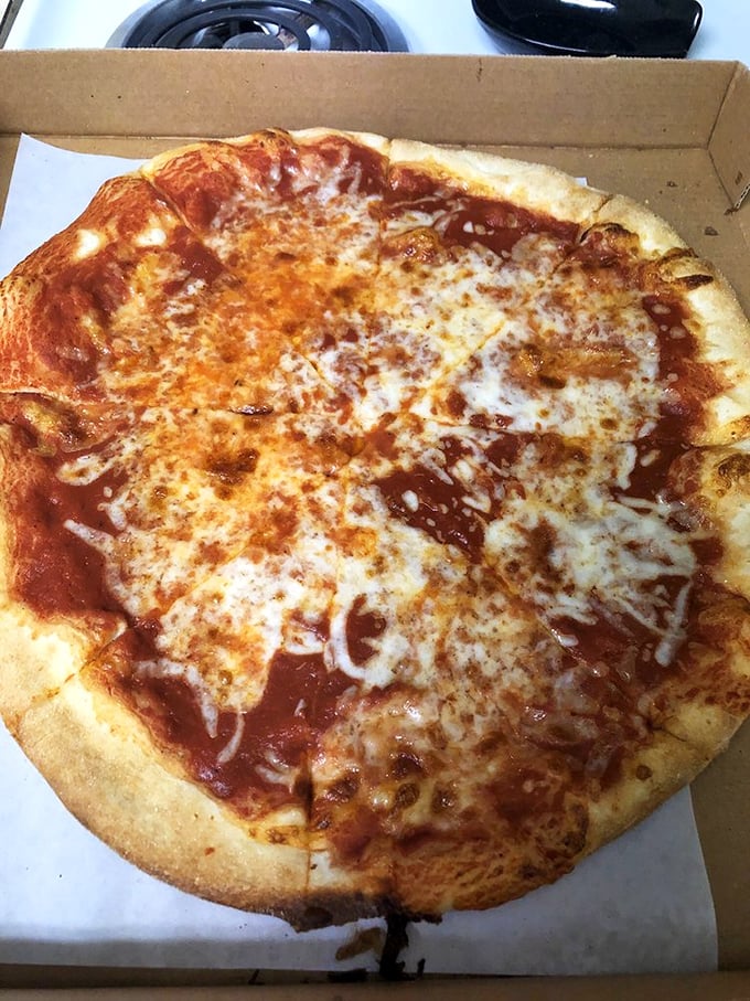 The large plain pizza—a blank canvas of possibility. Some call it simple; I call it the little black dress of the pizza world—timeless and always appropriate.