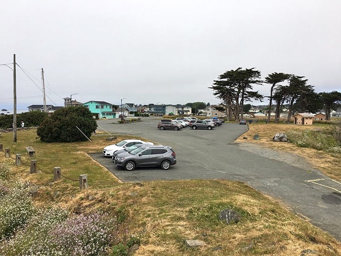 The humble parking area belies the extraordinary experience waiting just beyond. Your chariot awaits—but the real journey happens on foot.