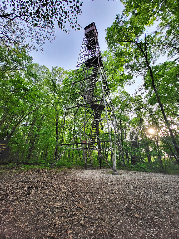 The fire tower rises like an industrial Rapunzel's tower, promising panoramic views that'll have your Instagram followers green with envy.