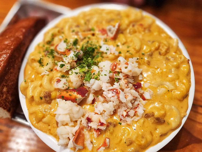 Lobster mac & cheese: where comfort food gets dressed for a fancy night out. Those chunks of lobster aren't hiding—they're proudly announcing their presence.