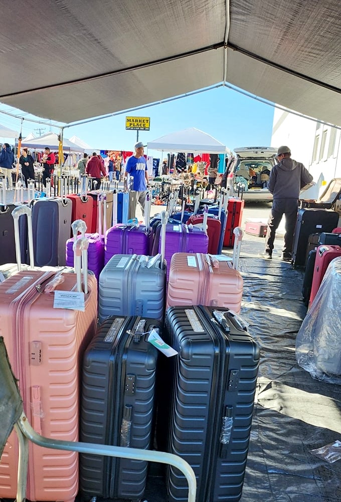Luggage galore for the wanderlust-stricken soul. These colorful travel companions are ready for their next adventure – will it be with you?