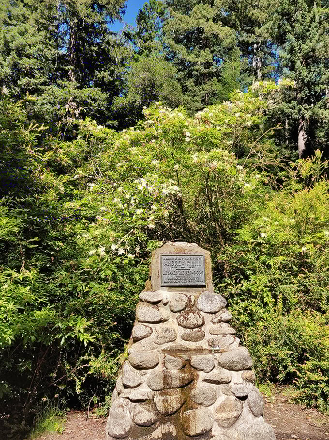 This memorial stands as a testament to conservation pioneers. Without their foresight, these magnificent trees might have become someone's deck furniture decades ago.