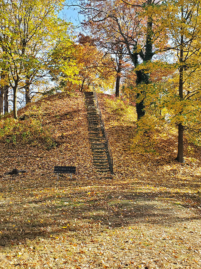 Ancient burial mounds remind us that people have been choosing this beautiful spot for thousands of years.