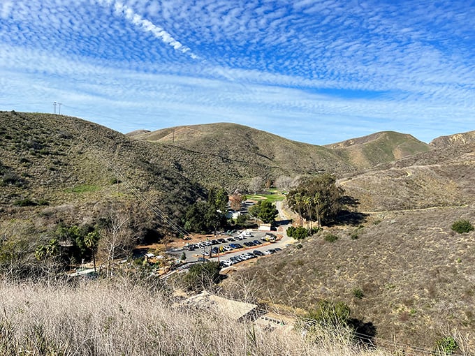These rolling hills cradle Ventura like protective arms around a treasure—offering hiking trails with million-dollar views that remain refreshingly free of charge.