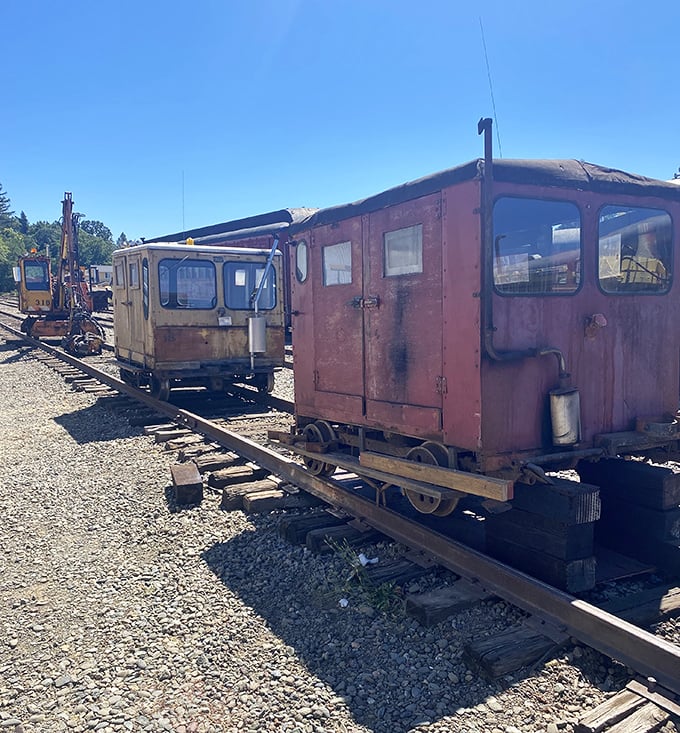 These weathered workhorses of the rails have stories to tell—each dent and rust patch a chapter in California's logging history.