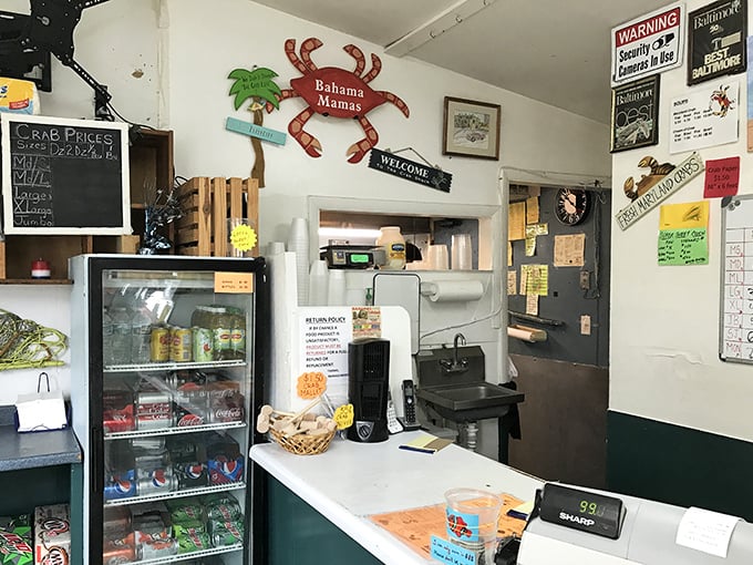 Behind this counter, seafood dreams come true. The red crab on the wall watches over the proceedings like a benevolent crustacean deity.