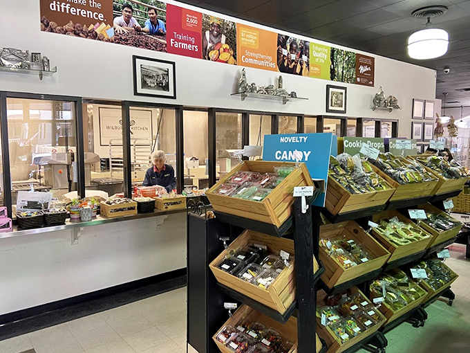 A candy wonderland where novelty meets nostalgia. Those wooden display bins hold more than treats—they contain childhood memories waiting to be rediscovered.
