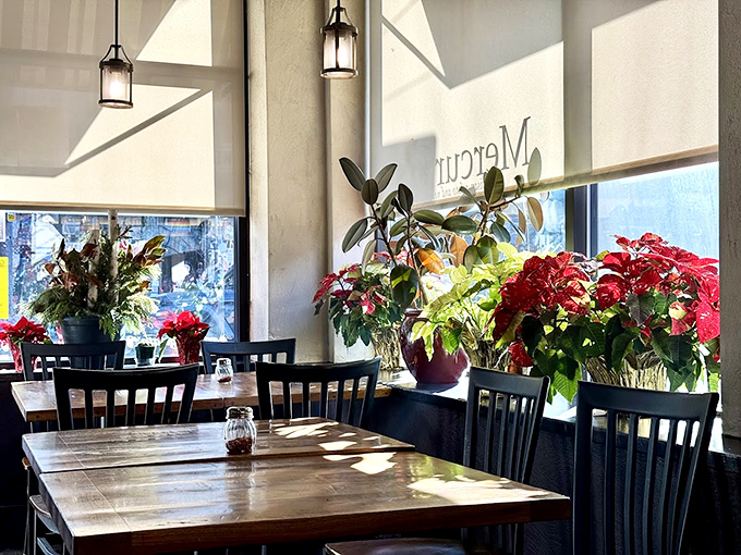 Sunlight streams through windows, illuminating tables adorned with plants – proving that pizza paradise can also be an urban oasis.