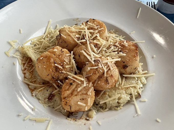 Scallops lounging on a bed of risotto like they're at a five-star resort. The parmesan snowfall adds that perfect touch of luxury.