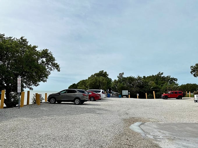The humble parking lot—where adventures begin and air-conditioned cars turn into mobile saunas waiting for your return.