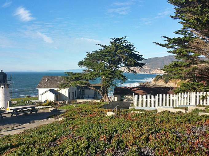 The lighthouse grounds offer more than history—they're a front-row seat to the Pacific's grandeur, where time slows to match the rhythm of the tides.