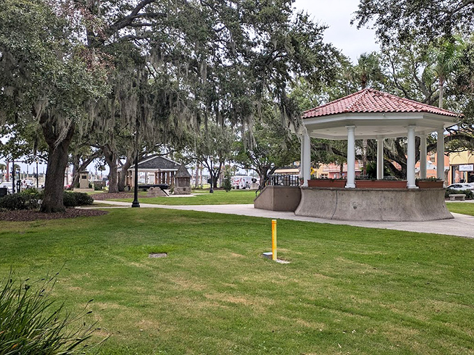 The Plaza de la Constitución's gazebo and sprawling oaks create the perfect setting for both romantic proposals and impromptu naps on park benches.
