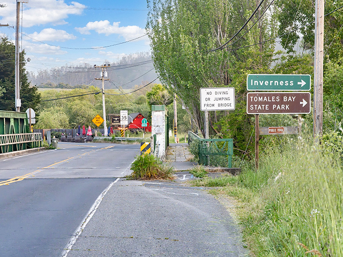 Road signs pointing to paradise—where "rush hour" means the dinner line at the local oyster shack.