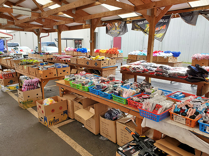 Bargain hunters' paradise where cardboard boxes transform into treasure chests. The "I might need this someday" section that somehow always proves right.