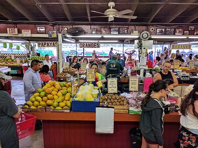 Fellow fruit enthusiasts gather to share discoveries and compare notes on exotic flavor adventures.