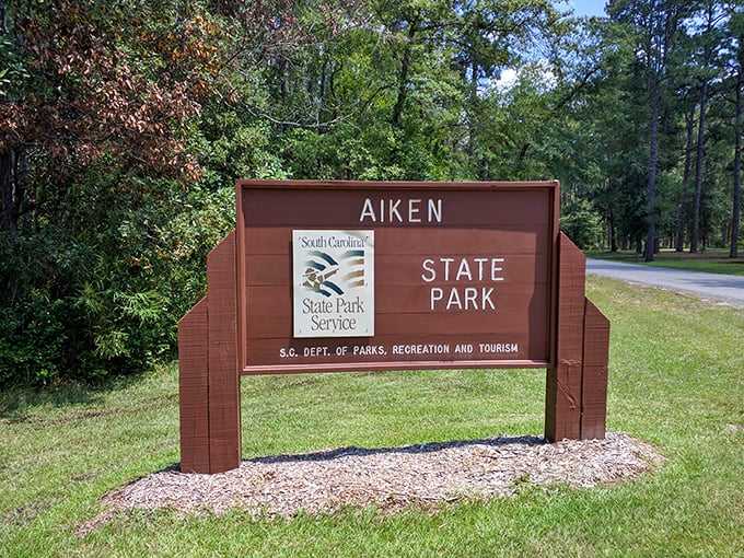 The entrance sign doesn't just mark a boundary—it's your official invitation to leave the modern world behind and step into something more authentic.