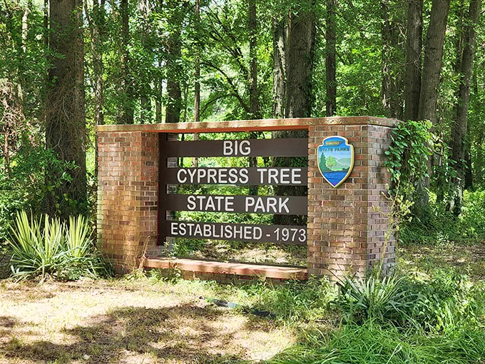 The park's entrance sign stands as a humble gatekeeper to natural wonders that don't need neon lights to announce their magnificence.