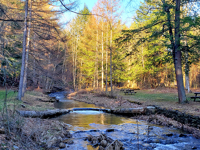 Nature's therapy session awaits at nearby state parks, where crystal streams provide the soundtrack and towering trees offer better coverage than any cell service.