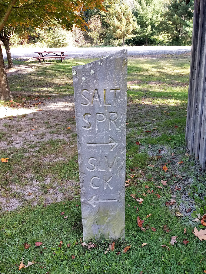 This unassuming stone marker points the way like a forest elder—"Salt Spring this way, lifetime memories that direction."