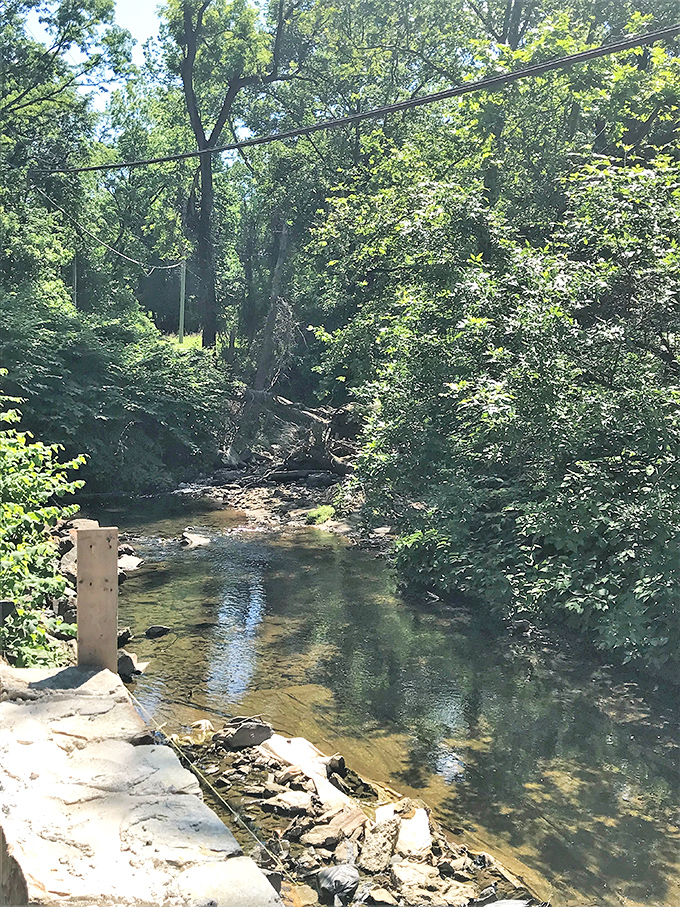 Hidden waterways carve their patient path through the park, offering cool respite and the soundtrack of gentle ripples.