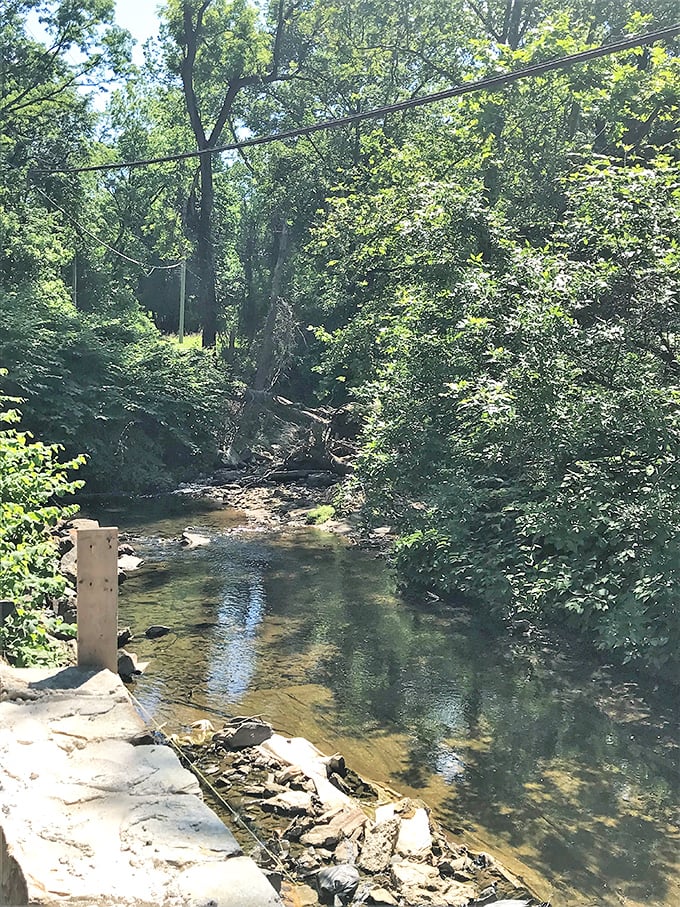 Hidden waterways carve their patient path through the park, offering cool respite and the soundtrack of gentle ripples.