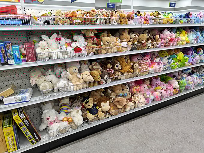 Stuffed animal adoption center: where plush companions with button eyes await their forever homes and second childhoods.