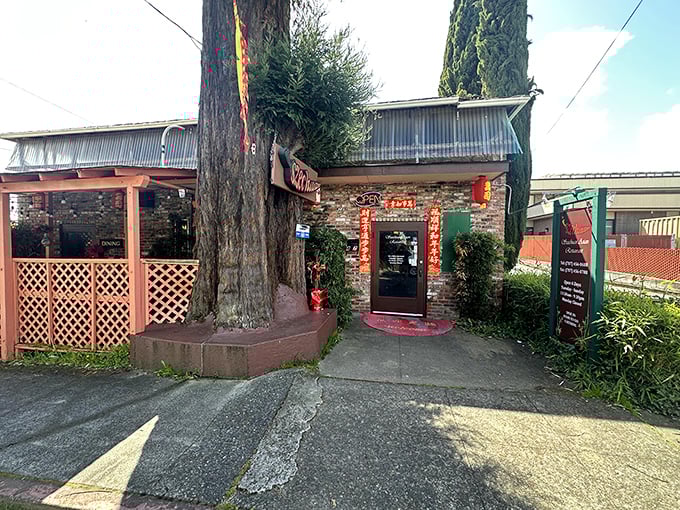 Szechuan Asian Restaurant embraces its redwood surroundings so completely that dining here feels like a delicious forest bathing session.