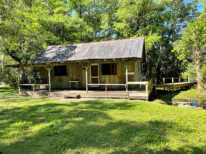 The "Fakahatchee Hilton" stands as a rustic reminder of old Florida. No room service, but the wildlife viewing comes complimentary.