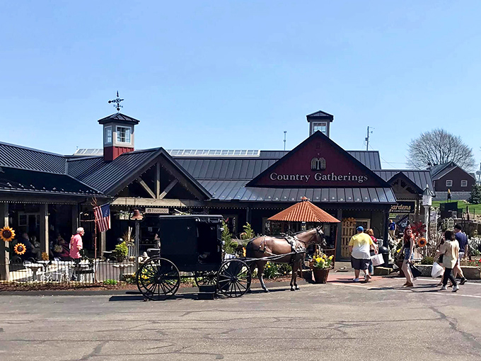 Outside Country Gatherings, the clip-clop of hooves provides the soundtrack to shopping—nature's own background music for retail therapy.