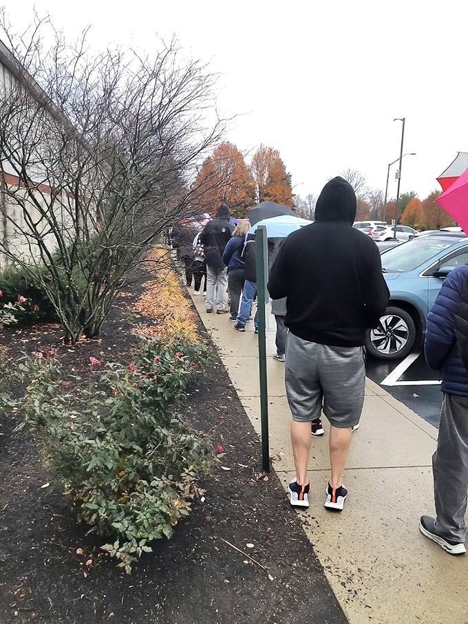 The line outside speaks volumes. When people brave the elements for pie, you know you've found something extraordinary.