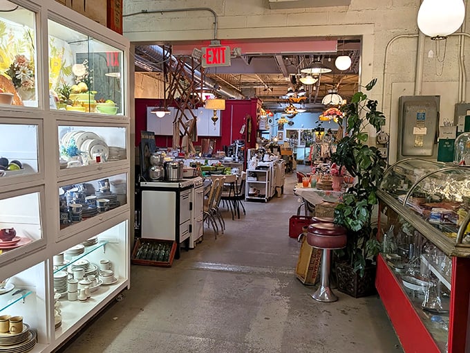 Every aisle's a rabbit hole – enter at your own risk and kiss your afternoon goodbye.