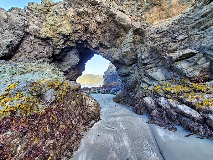 Mother Nature's perfect archway frames the Pacific like a living postcard – no filter required for this geological masterpiece.