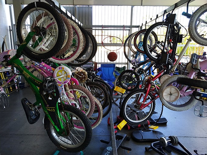 Bicycle heaven for kids and budget-conscious commuters alike. Two-wheeled freedom doesn't have to cost a month's rent.