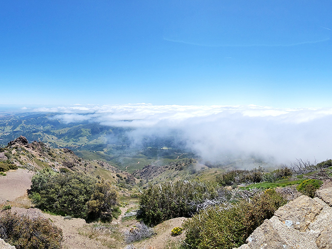 The mountain's unique position creates a natural fog barrier, with sunshine above and clouds below—nature's version of a first-class upgrade.