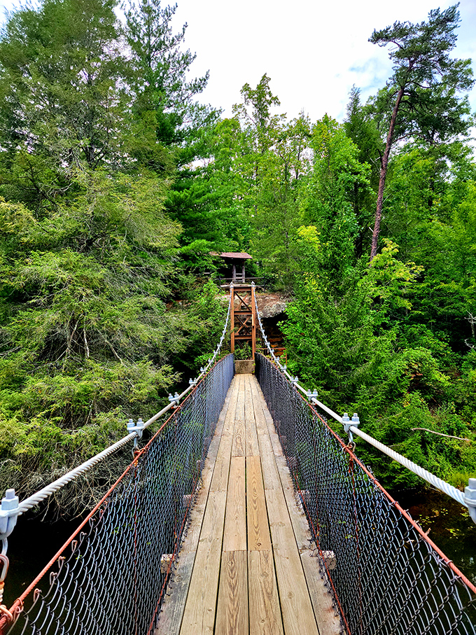 Every great adventure needs a proper bridge – this one delivers both passage and picture opportunities.