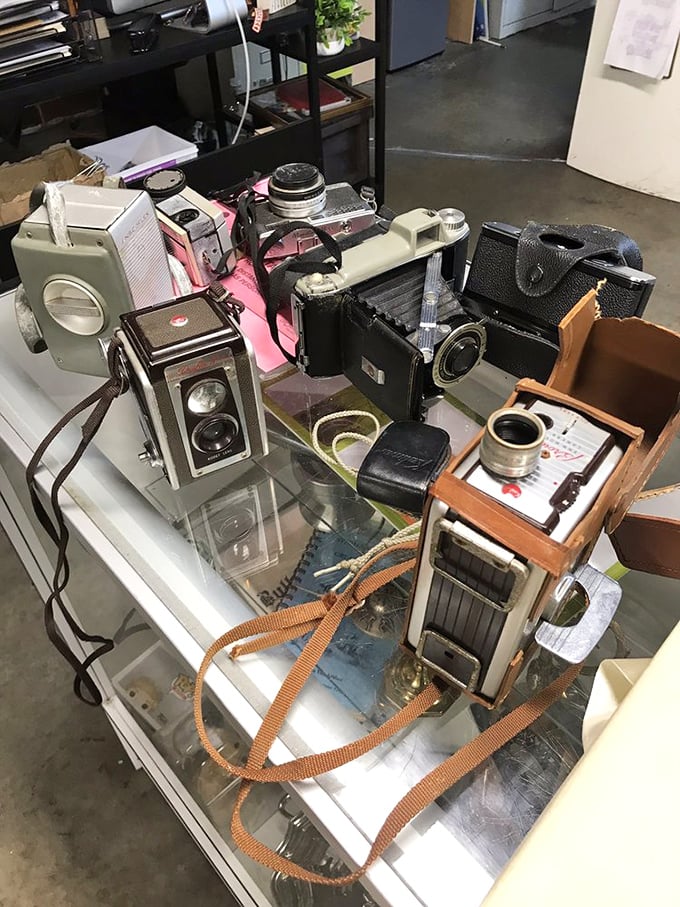 A photographer's time capsule waiting to be explored. These cameras captured countless memories before selfies were even a concept.