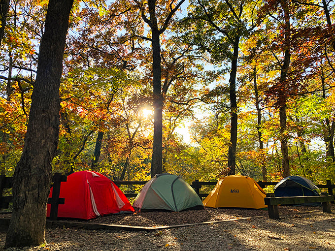 Camping among autumn leaves—nature's five-star accommodations. Those colorful tents complement fall foliage like they planned it.